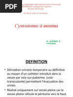 Anatomie de l'Aine et Canal Inguinal | PDF | Péritoine | Vaisseau sanguin