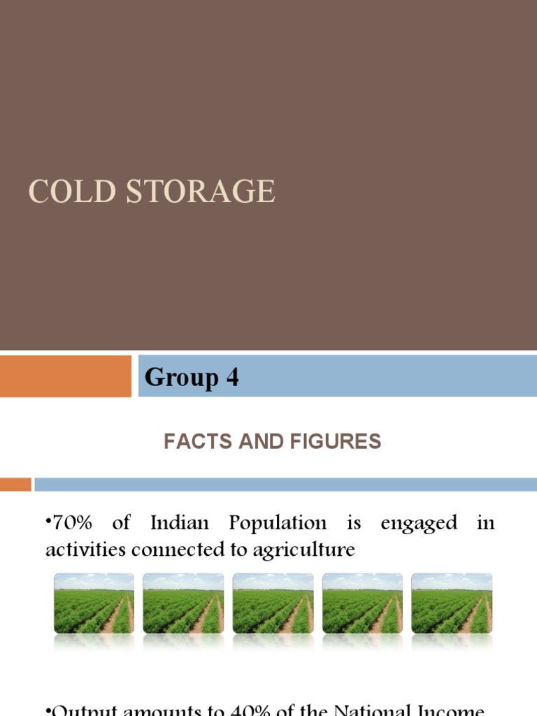 Cold Storage | PDF | Refrigeration | Vegetables