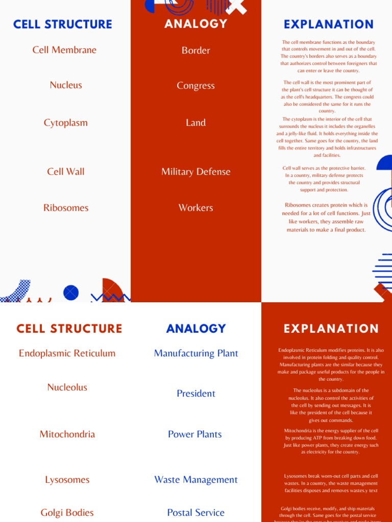 Cell Analogy | PDF | Cytoplasm | Cell (Biology)
