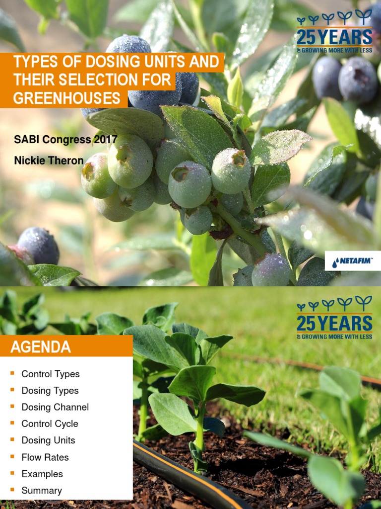 TYPES OF DOSING UNITS AND Nickie Theron | PDF | Flow Measurement | Valve