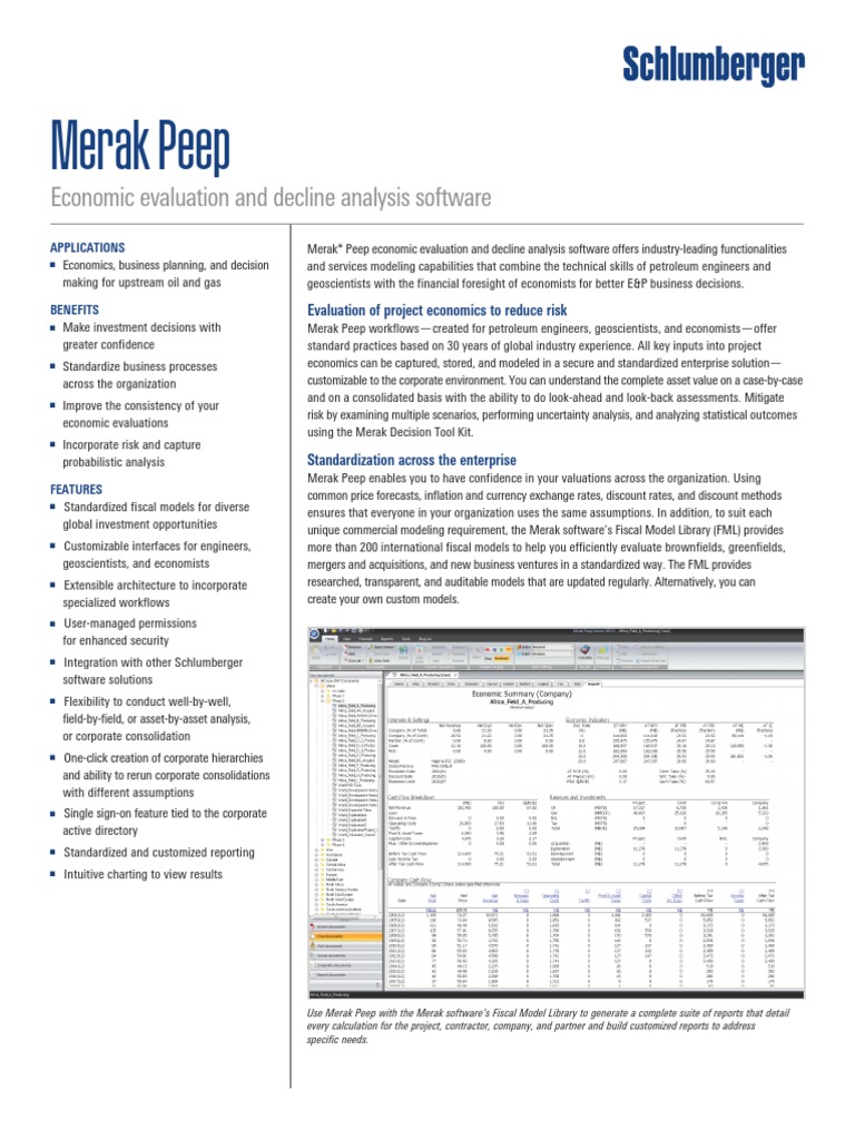 Merak Peep Ps PDF | PDF | Sensitivity Analysis | Economics