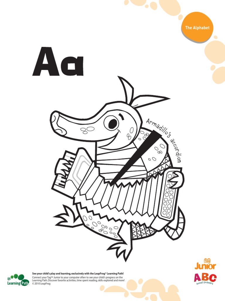 ABC Animal Orchestra | PDF | Educational Psychology | Pedagogy