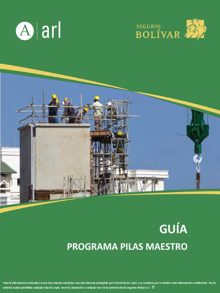 Guía programa pilas maestro. | PDF | Planificación | Evaluación