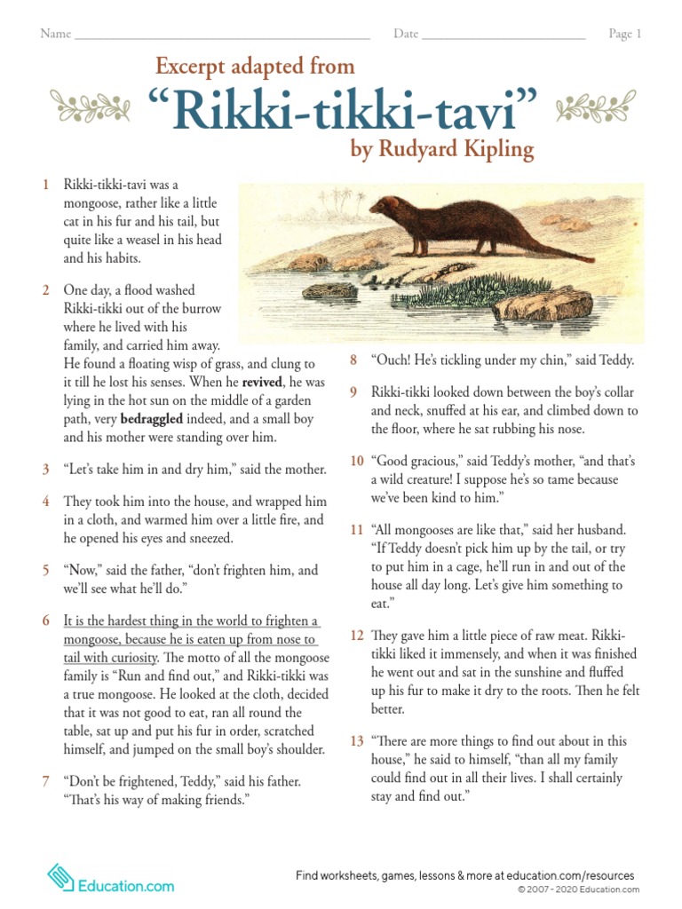 Reading Comprehension Rikki Tikki Tavi | PDF