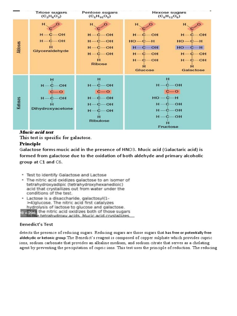 Mucic Acid Test: Principle | PDF | Chemical Compounds | Carbohydrates