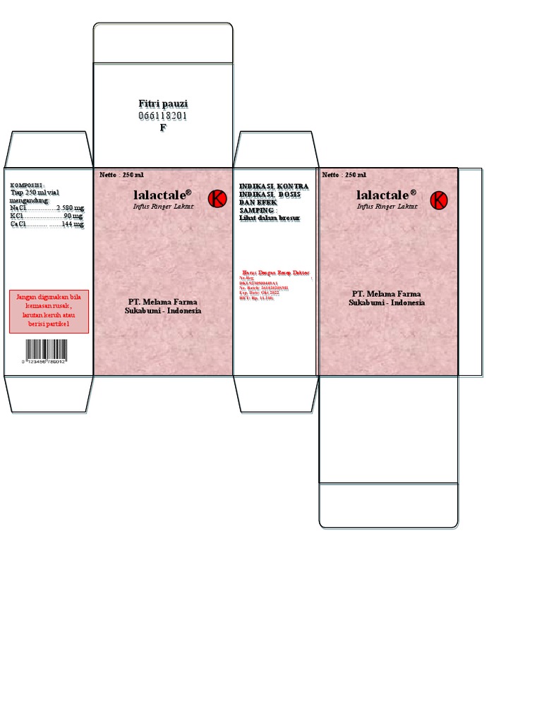 Dus Injek Ringer Laktat Dan Tetes Mata Zinc Sulfat P3 | PDF