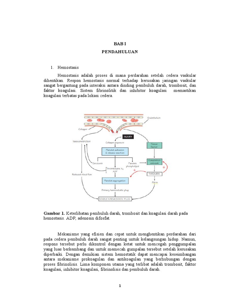Pemeriksaan Fdp Fibrin Degradation Product Metode Immunoturbidimetri