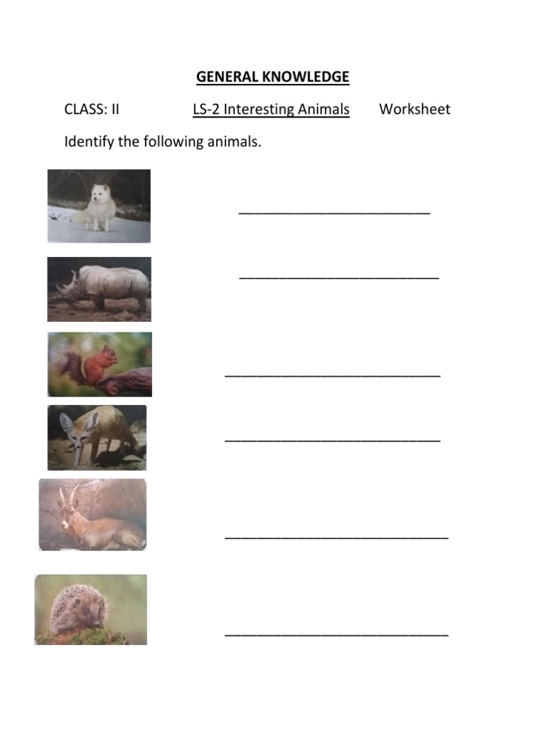 Worksheet2 Converted 3 PDF | PDF