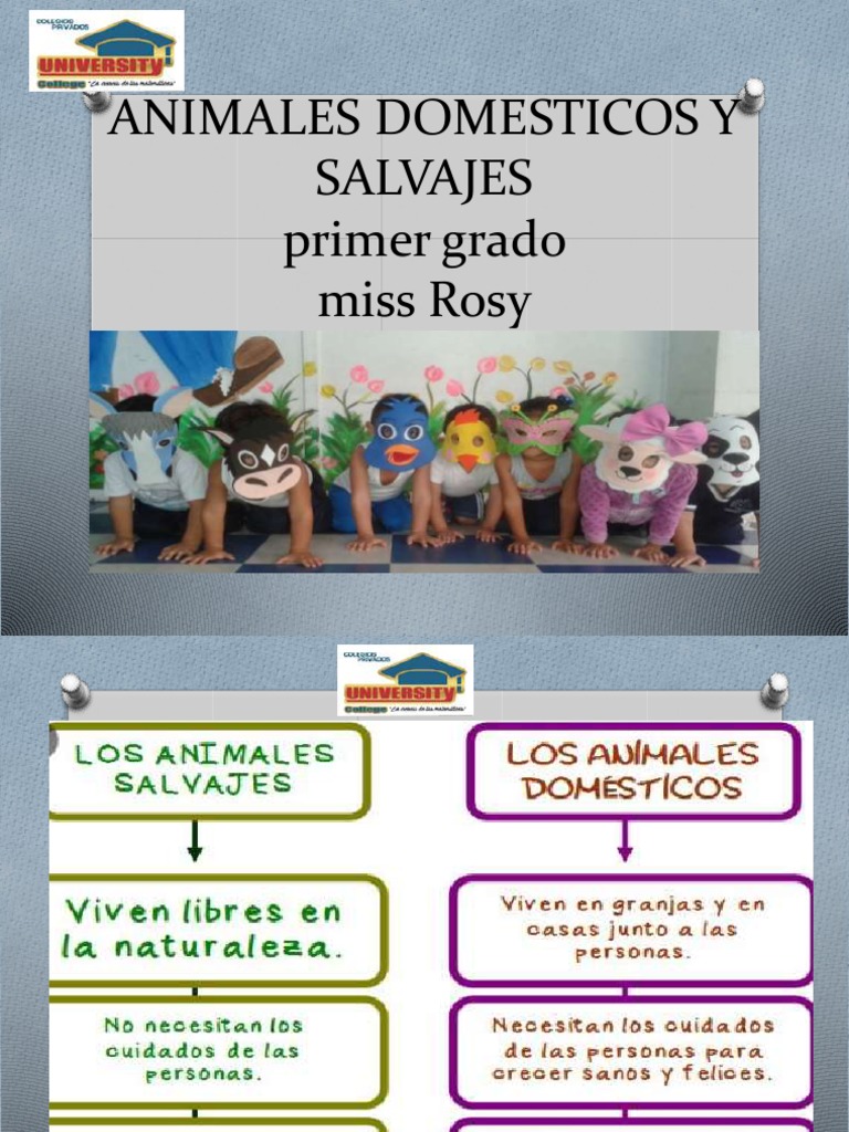 Animales: Domésticos vs. Salvajes | PDF