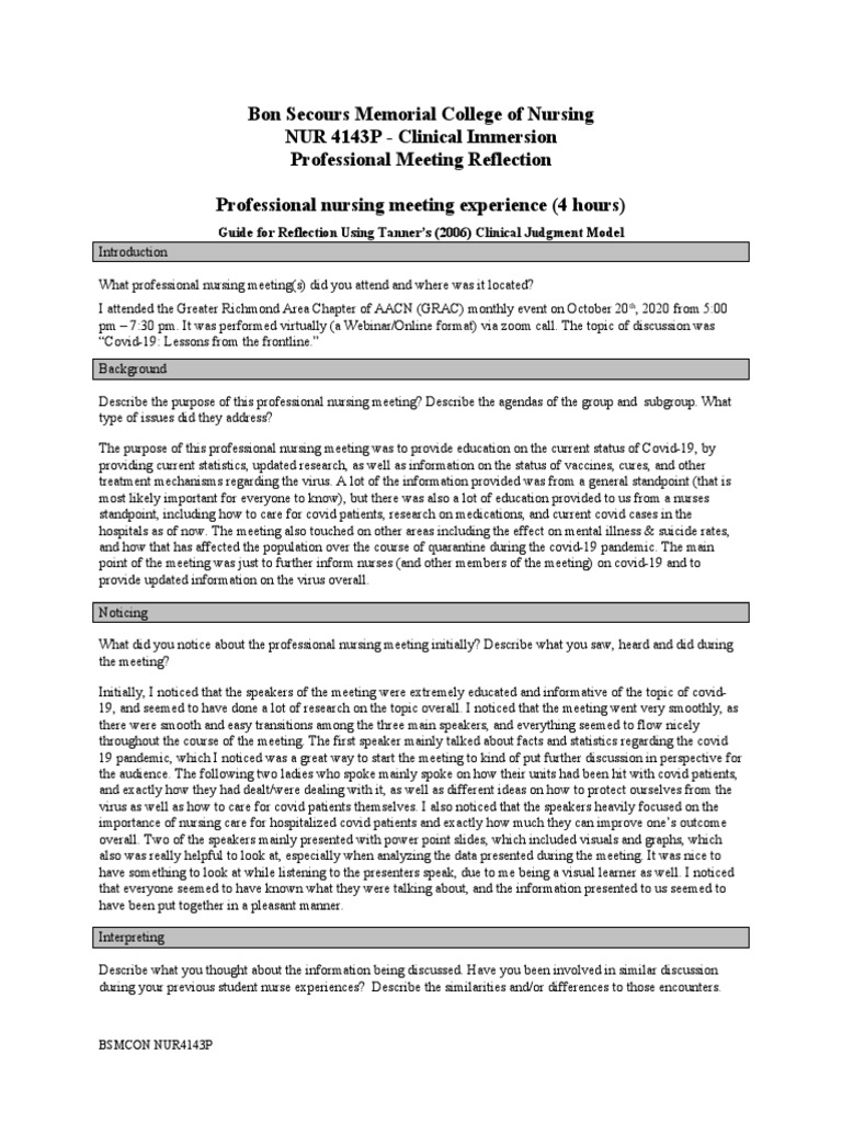 Immersion Professional Meeting Reflection | PDF | Patient | Nursing