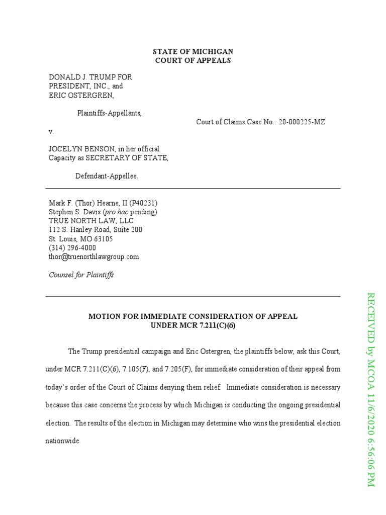 Michigan Court of Appeals | PDF | Elections | Voting