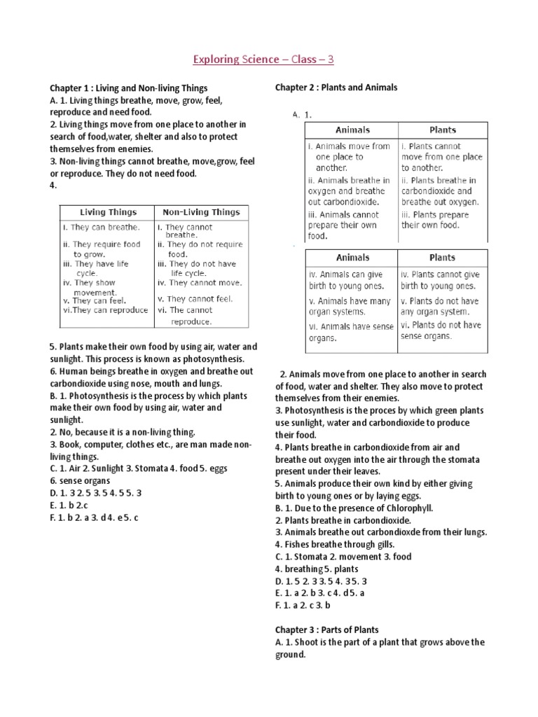 Le Science c3 PDF | PDF | Rock (Geology) | Birds