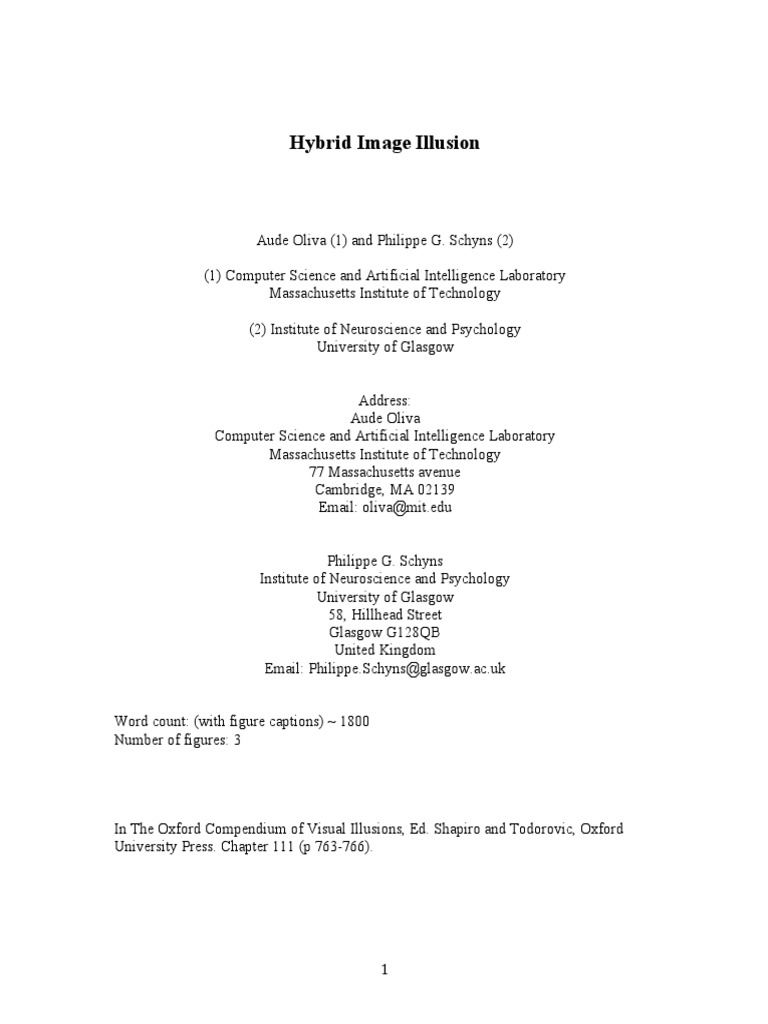 Hybrid Image Illusion Explained | PDF | Perception | Information