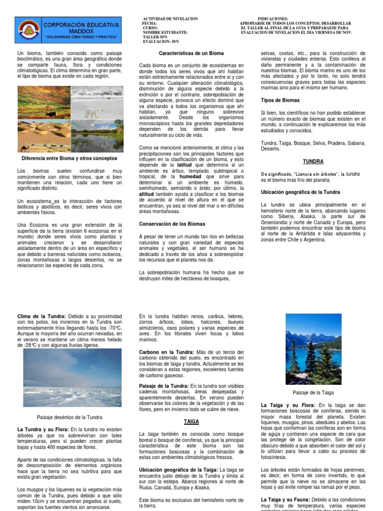Biomas: Características y Conservación | PDF | Selva | Desierto