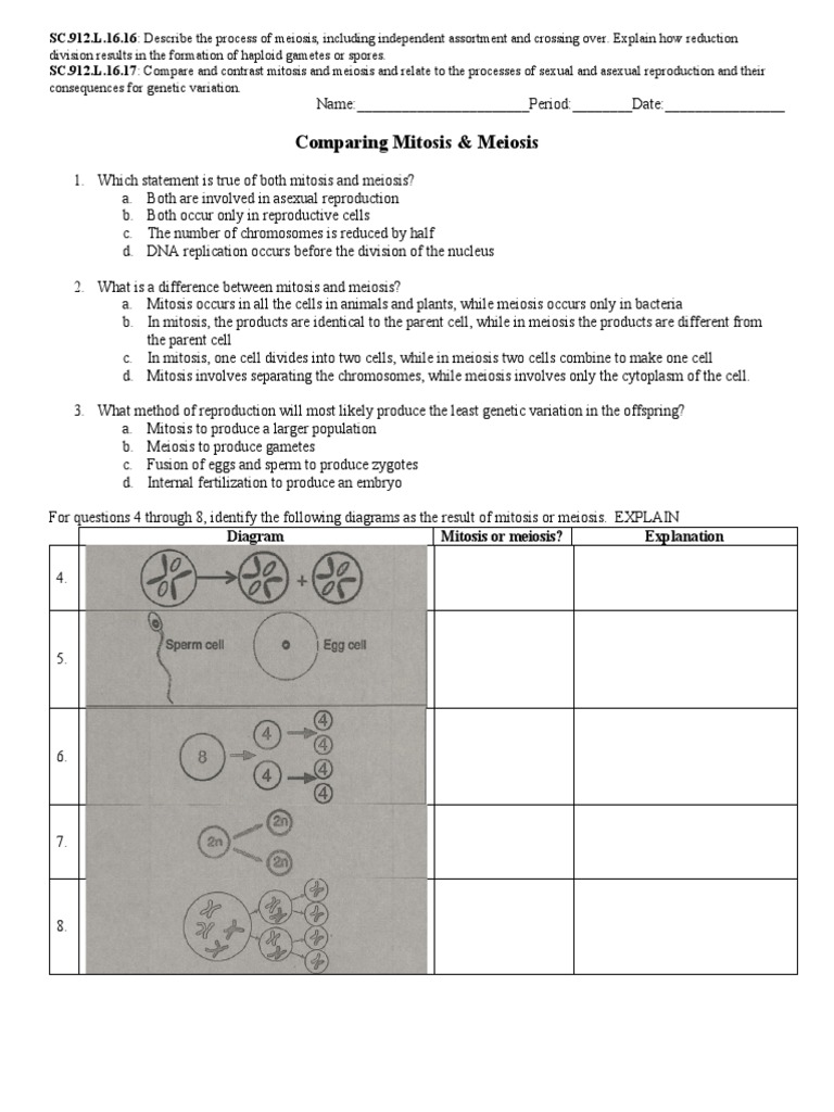 Comparing Mitosis And Meiosis Worksheet
