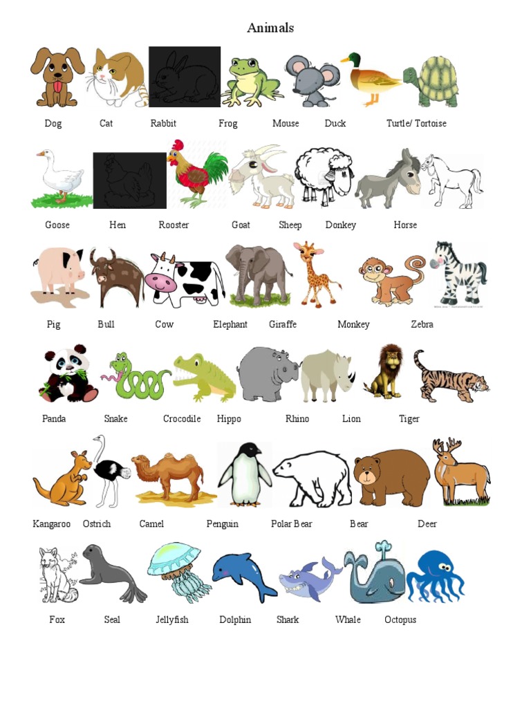 Animal Vocabulary for Pictionary | PDF | Young Adult