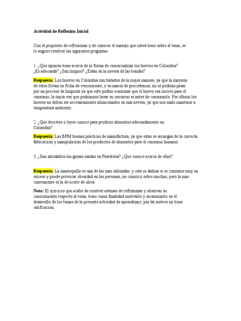 Actividad de Reflexión Inicial | PDF