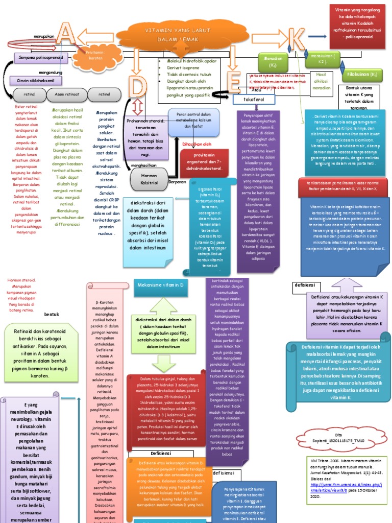 Mind Map Vitamin Larut Dalam Lemak | PDF