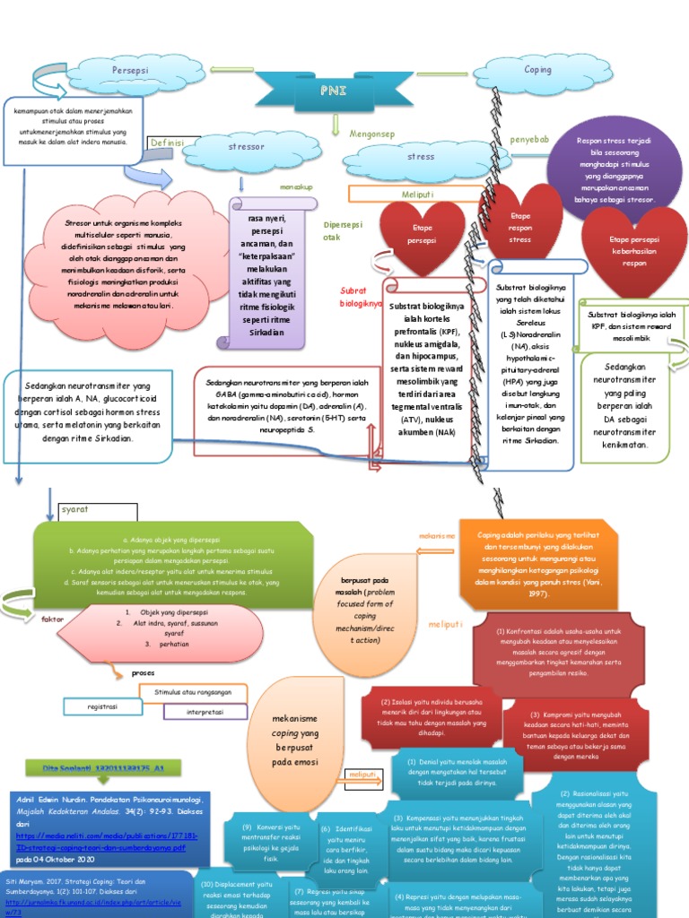 Mind Map PNI | PDF