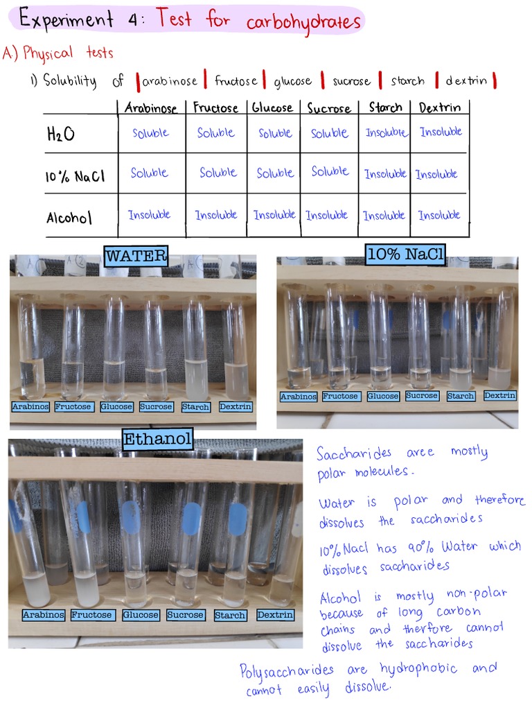 Experiment 4 PDF | PDF | Carbohydrates | Glucose