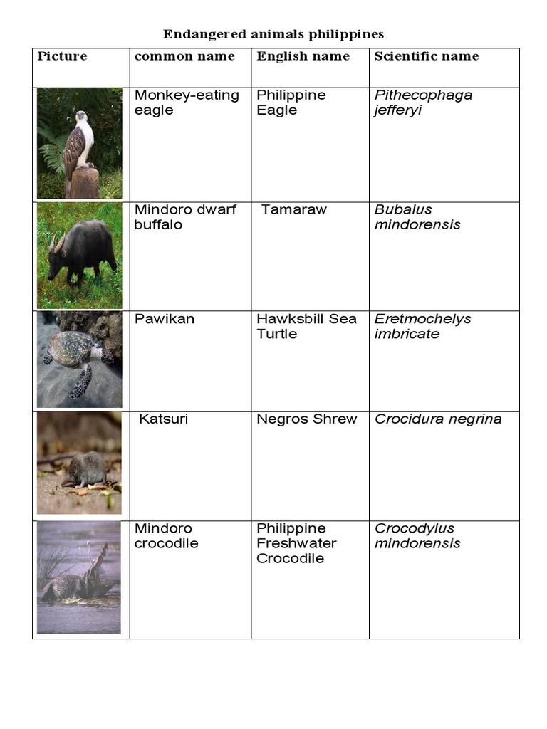 Endangered Animals in Philippines | PDF