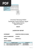 Lab Report Bio270 As1203g (Adam, Harith, Amin, Syakir) | PDF | Starch ...