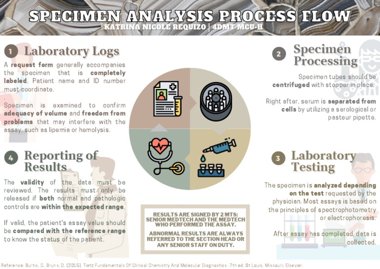 General Process Flow in Clinical Chemistry Specimen Analysis | PDF ...