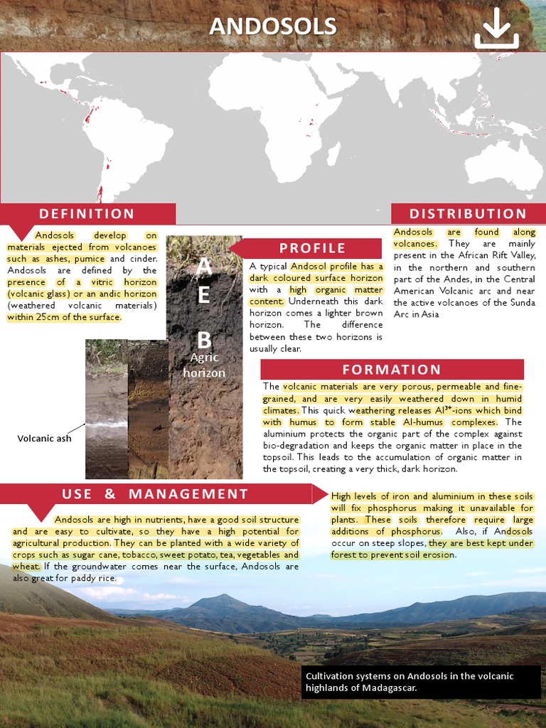 Distribution Profile: Andosols | PDF | Volcano | Soil