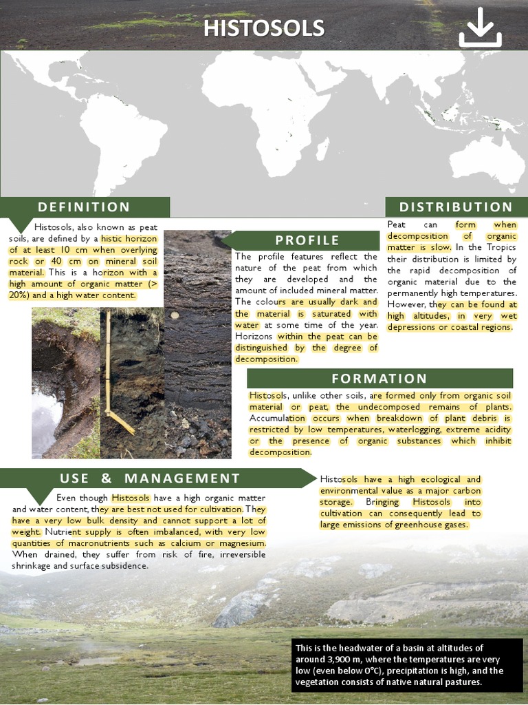 Distribution Profile: Histosols | PDF | Soil | Decomposition