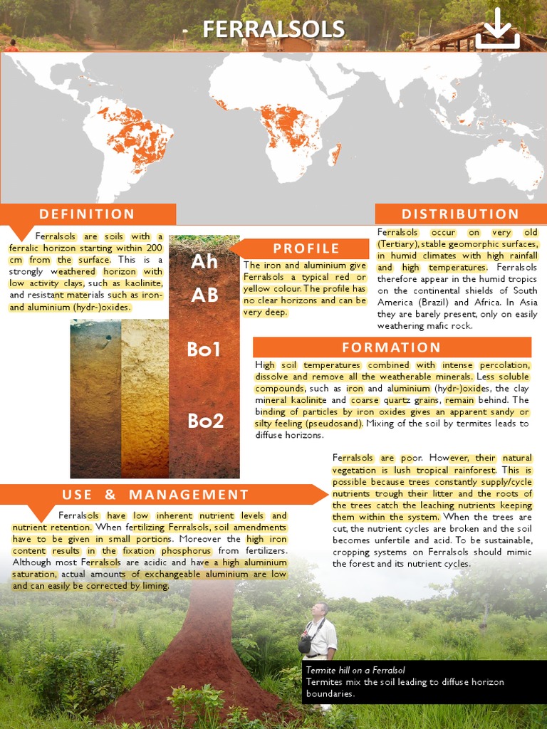 Ferralsols defined | PDF | Soil | Natural Environment
