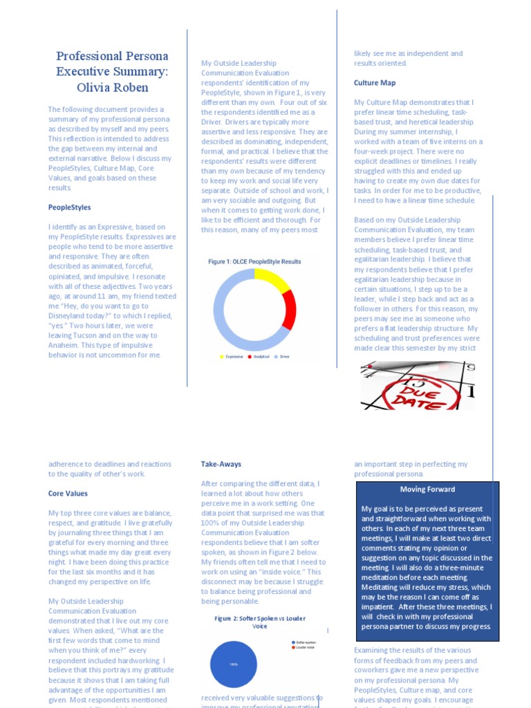 Professional Persona Executive Summary 3 | PDF | Leadership ... Professional Persona Executive Summary 3 | PDF | Leadership ...
