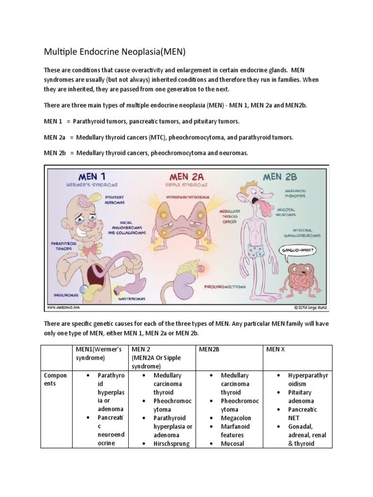 Multiple Endocrine Neoplasia | PDF | Neoplasms | Organ (Anatomy)