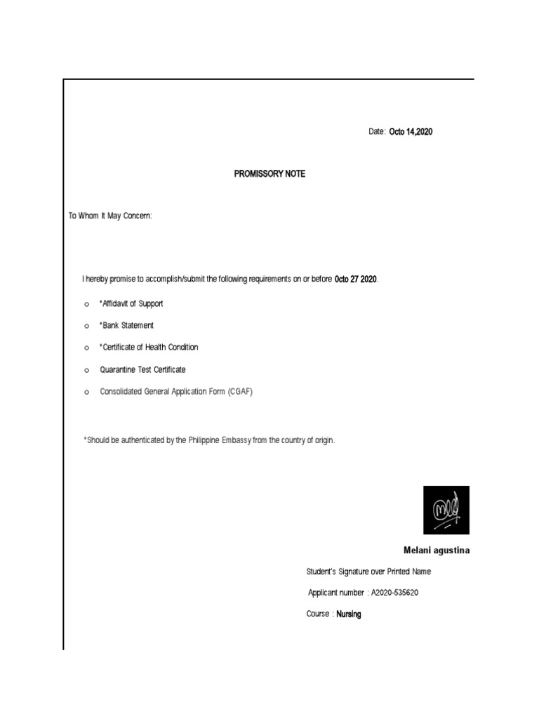 Consolidated General Application Form (CGAF) : Melani Agustina | PDF