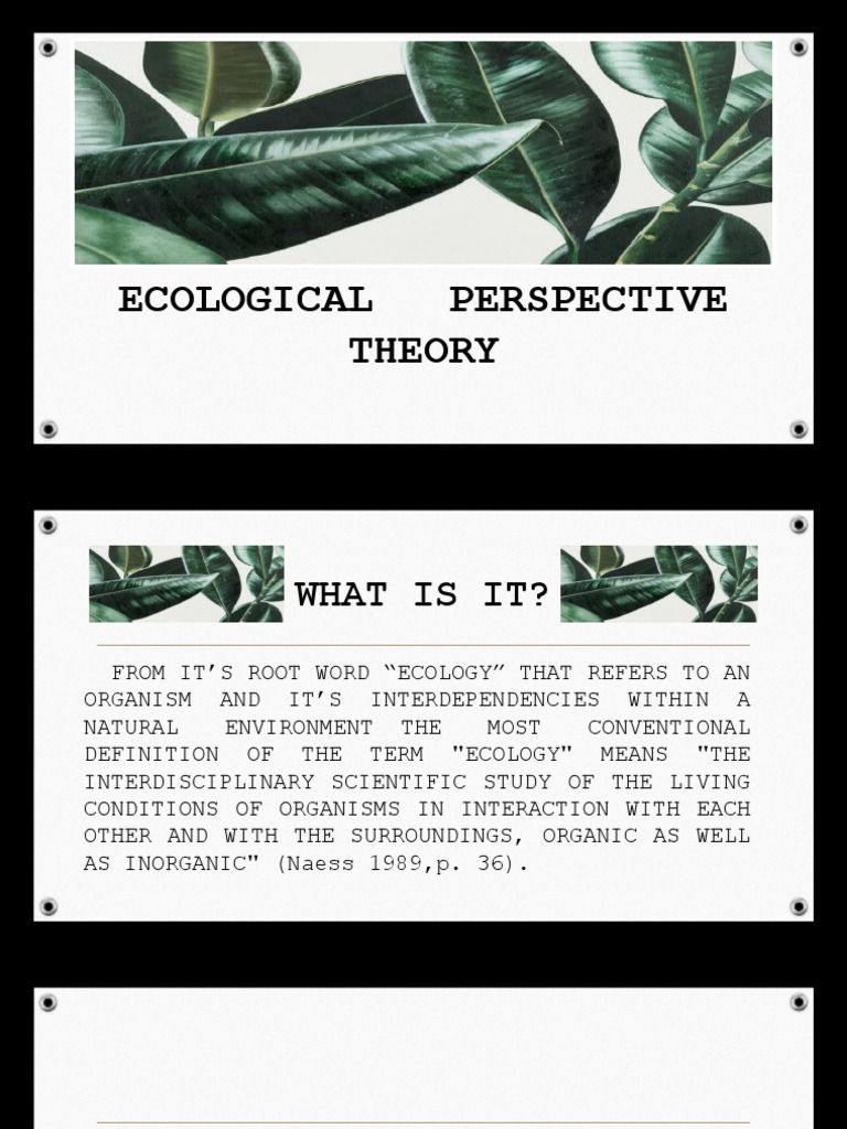 Ecological Perspective | PDF