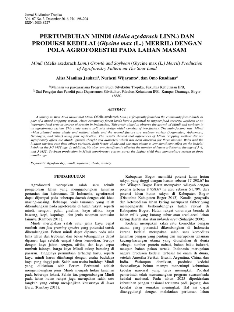 Pertumbuhan Pohon Mindi | PDF | Food Politics | Soybean