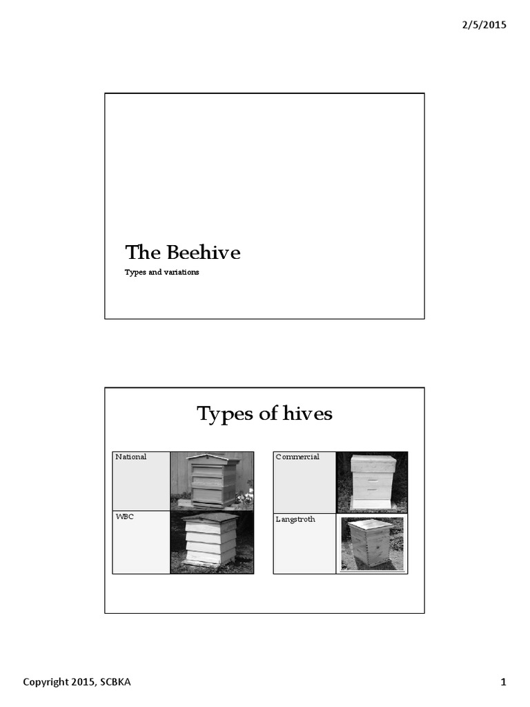 The Beehive The Beehive: Types and Variations Types and Variations ...