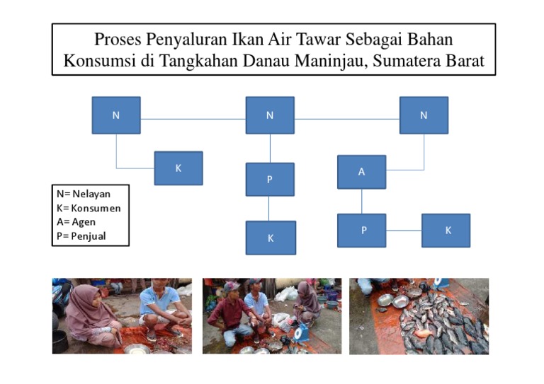 Proses Penyaluran Tata Niaga Perikanan Ikan Tawar (Aini) | PDF