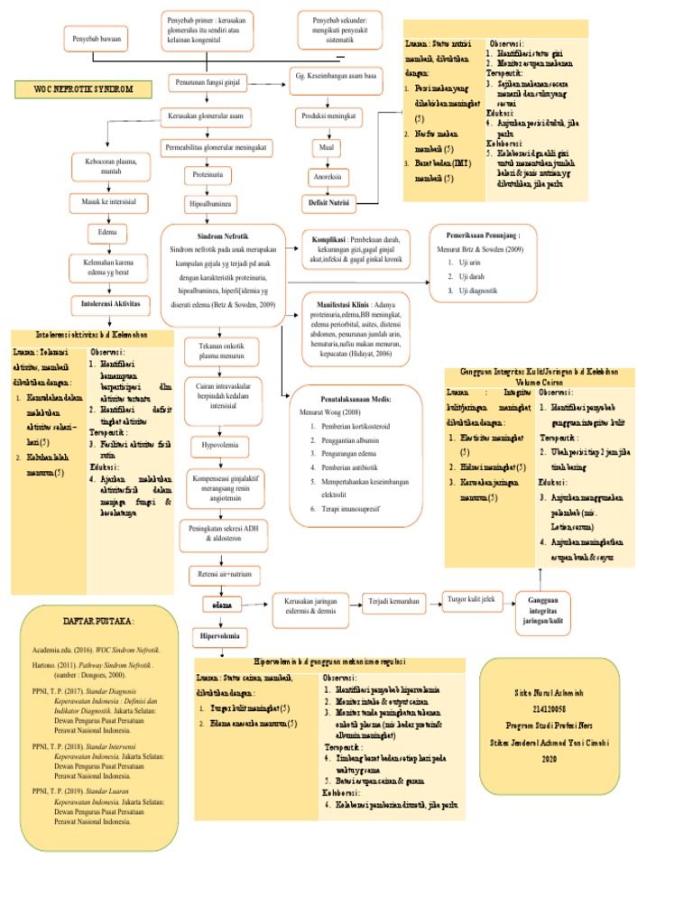 WOC Nefrotik Syndrom | PDF