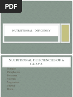 Strawberry Nutrients Deficiency Symptoms | PDF | Plant Nutrition | Leaf