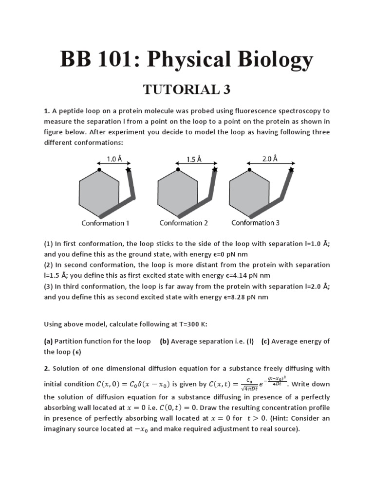 BB 101: Physical Biology: Tutorial 3 | PDF | Diffusion | Proteins