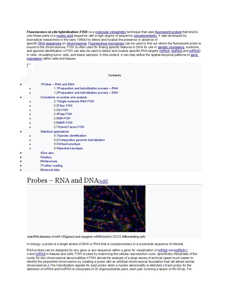 Probes - RNA and DNA: Fluorescence in Situ Hybridization (FISH) Is A ...