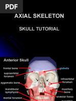 Common Bone Markings | PDF