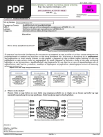Activity Sheet For Implasyon | PDF