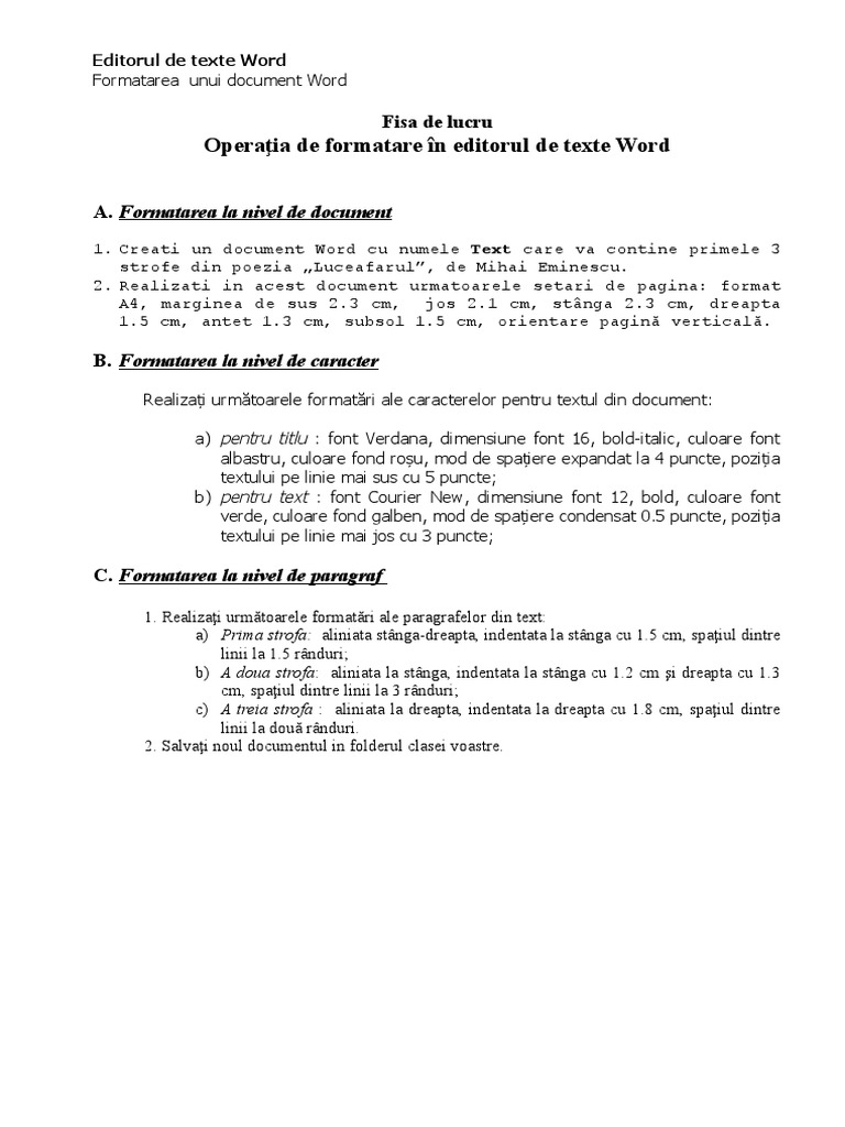 Formatare Document | PDF