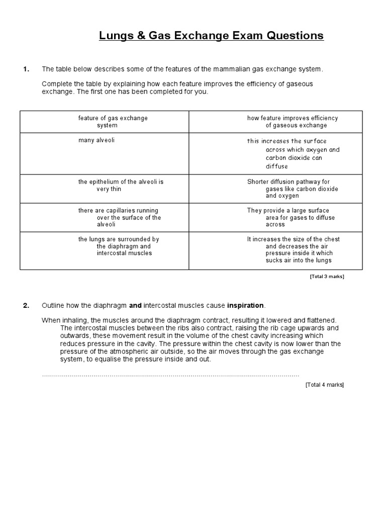 Biology Exam: Gas Exchange | PDF | Lung | Respiratory System