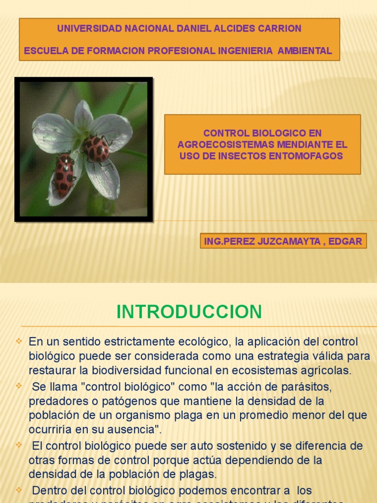 Control Biologico Mediante Insectos Entomofagos | PDF | Control ...