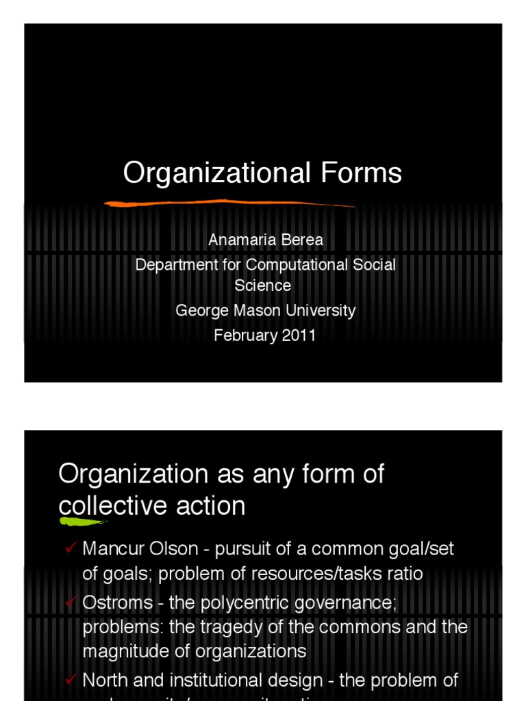 Organizational Forms: Anamaria Berea Department For Computational ...