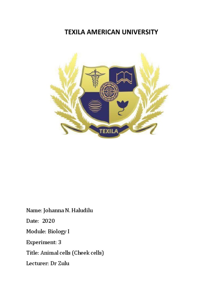 Biology 3rd Lab Report (Animal Cell) | PDF | Cell (Biology) | Staining
