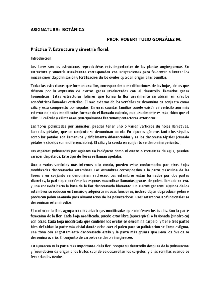 Estructura y Simetría de Flores | PDF | Flores | Plantas