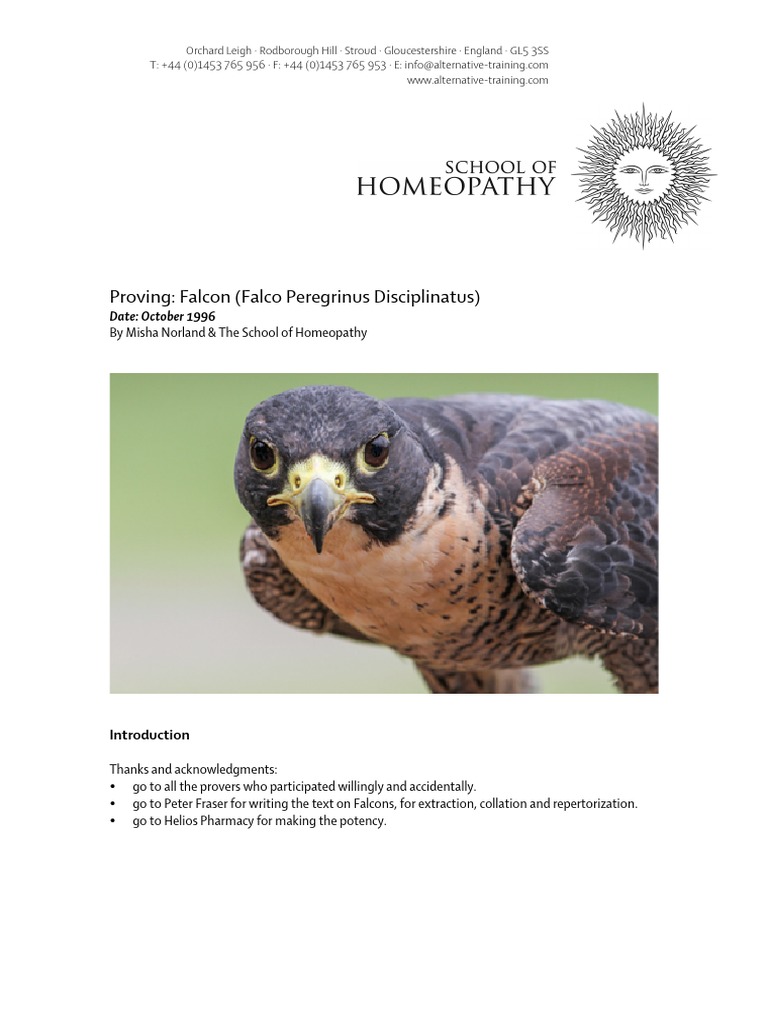 Proving of Falcon BLK FINAL PDF | PDF | Horus | Falconry